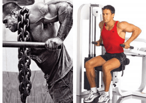 Resistance Machines for Building Muscles….Good Idea or Bad Idea?